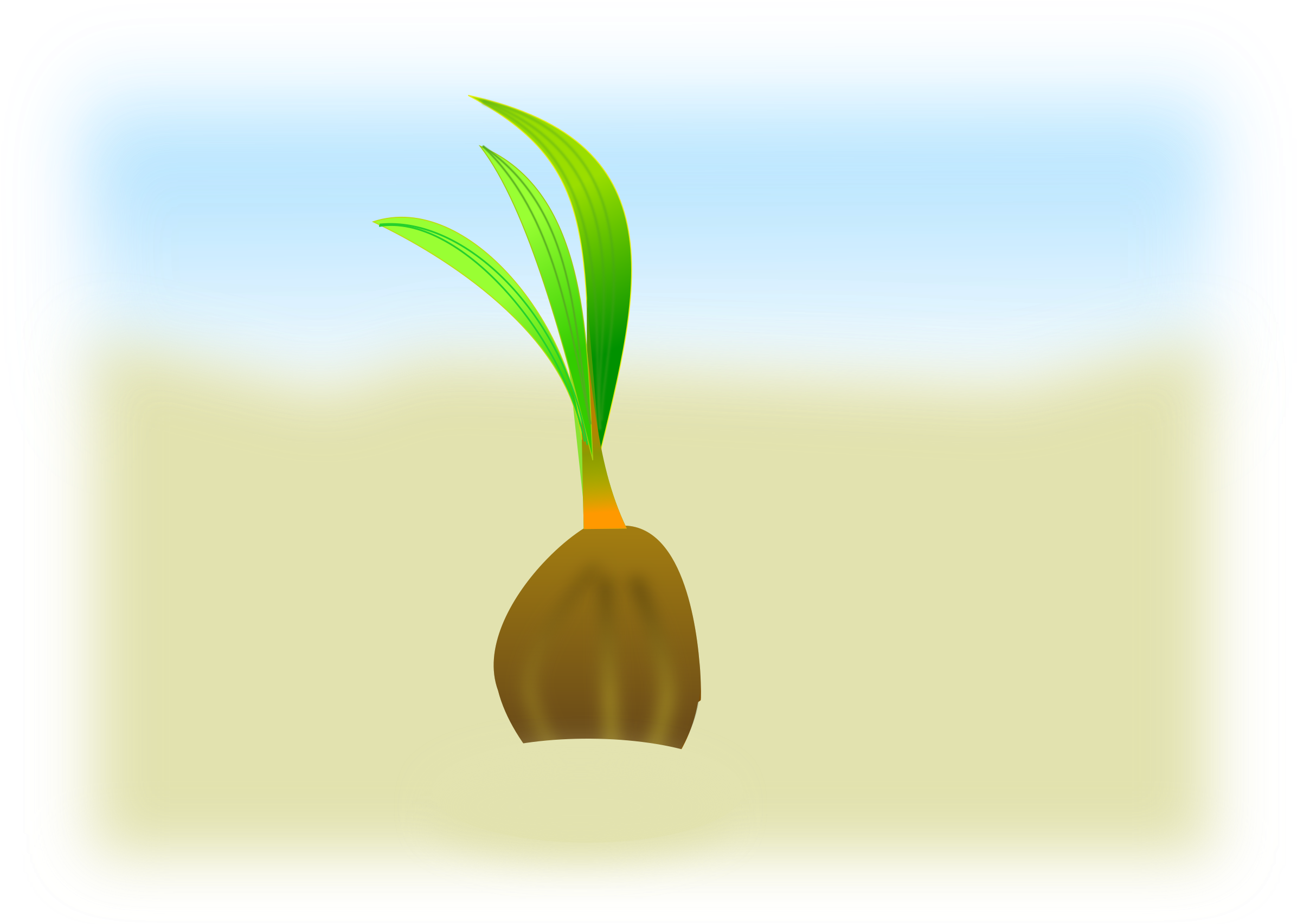 Big Image - Germination Of Seed Animation (2400x1800), Png Download