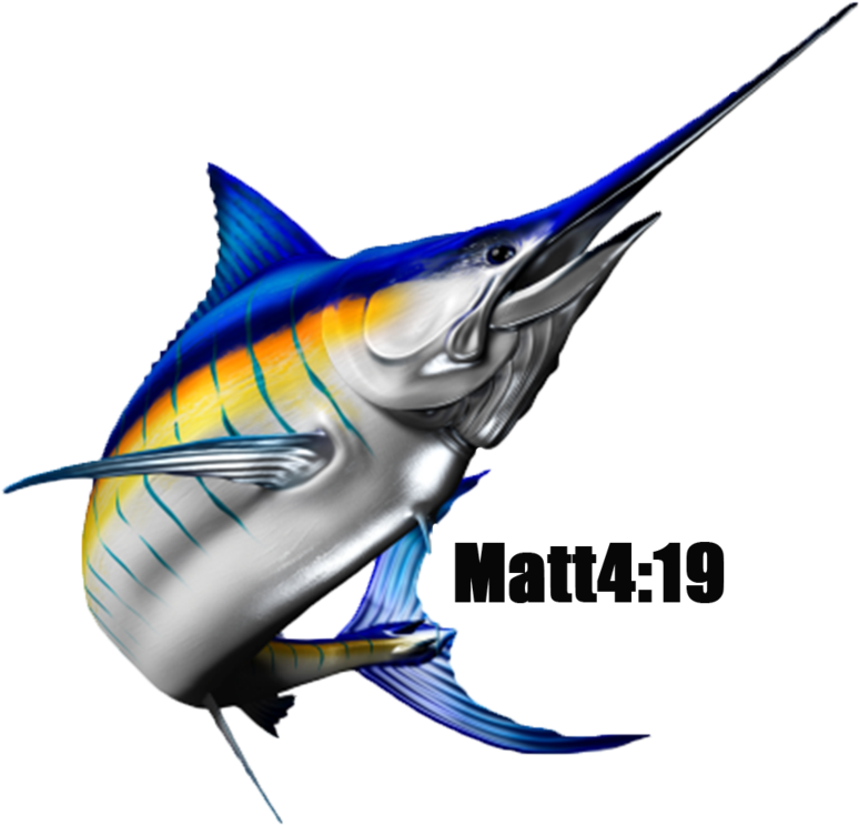 Blue Marlin Fish