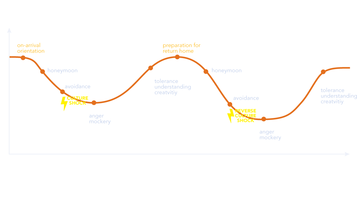 Stages Of Transition - Diagram (1280x720), Png Download