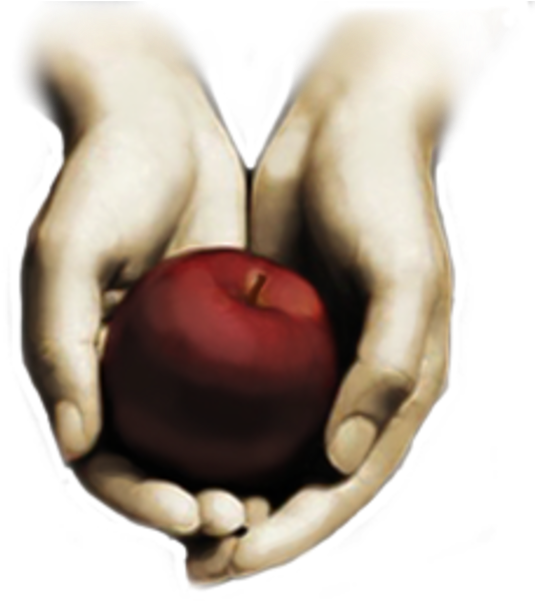 Twilight Clipart Apple - Twilight [book] (600x600), Png Download
