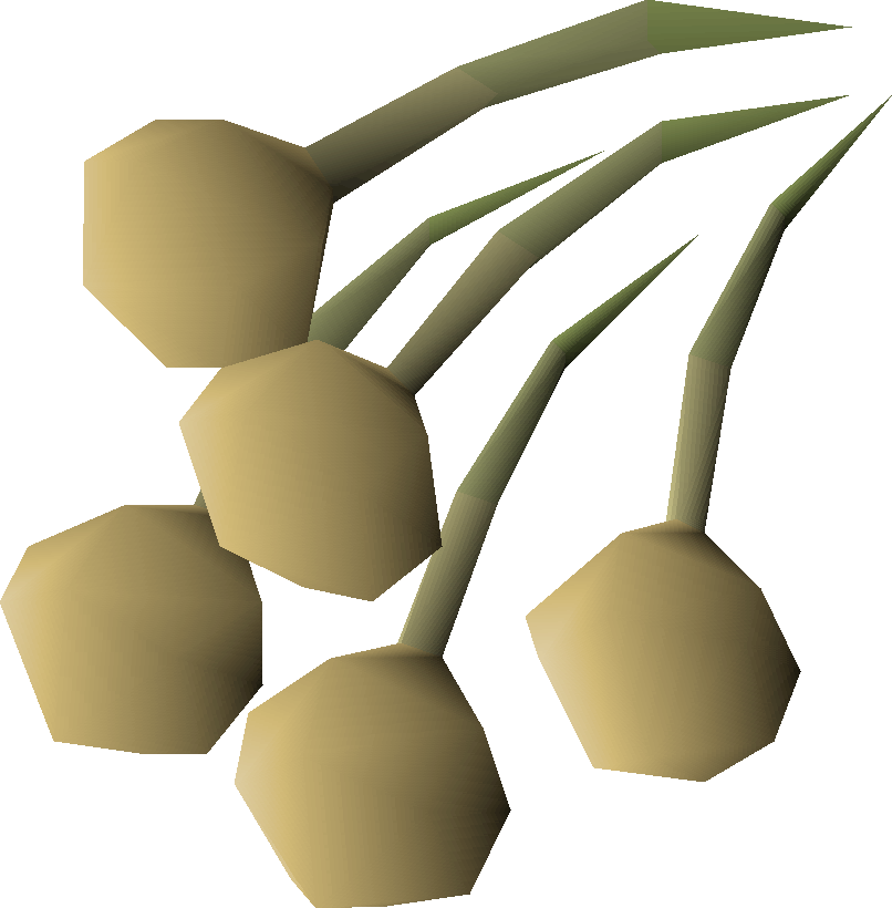 Onion Seed Detail - Onion Seed Osrs (806x820), Png Download
