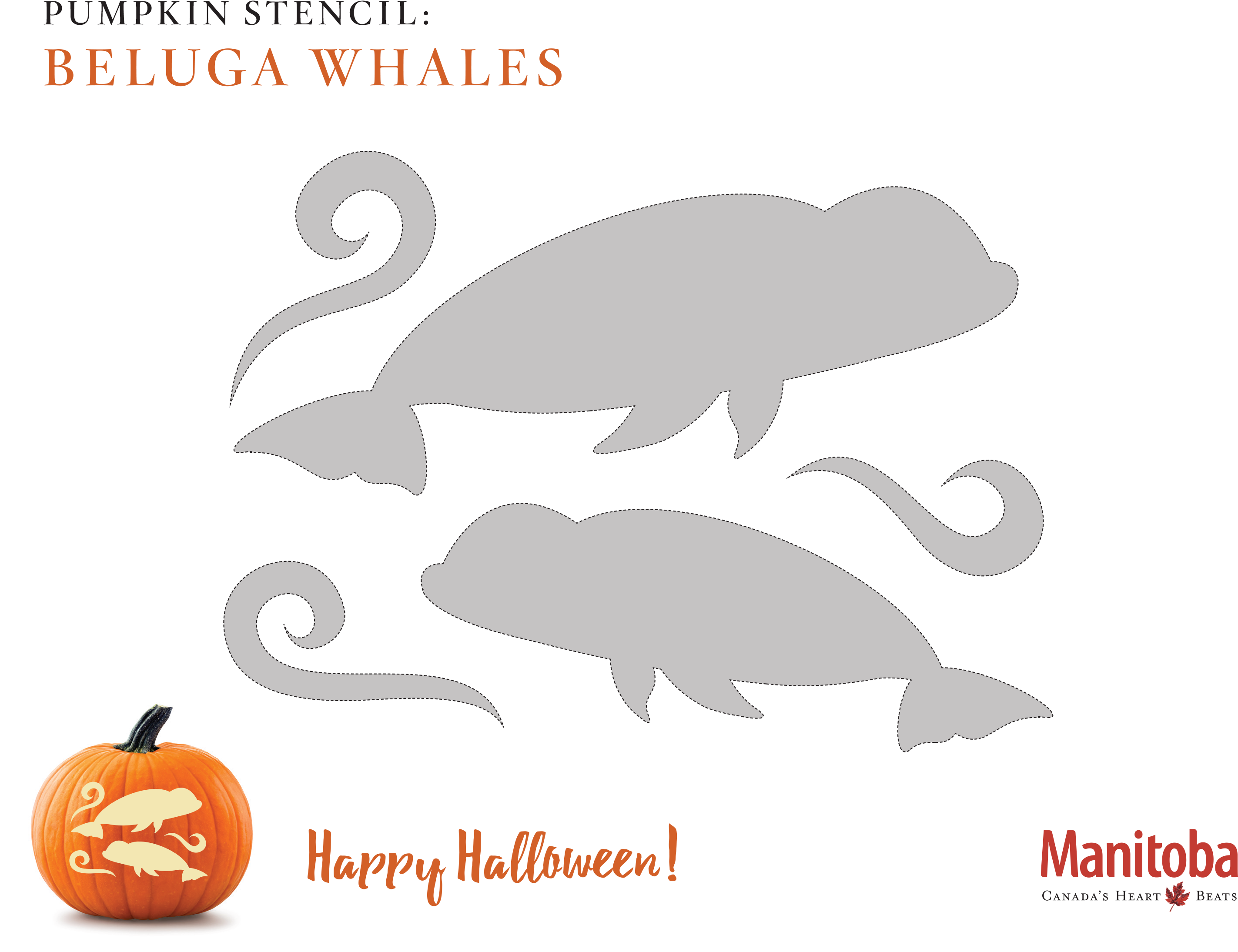 Beluga Whale Pumpkin Carving Stencil - Polar Bear Pumpkin Carving ...