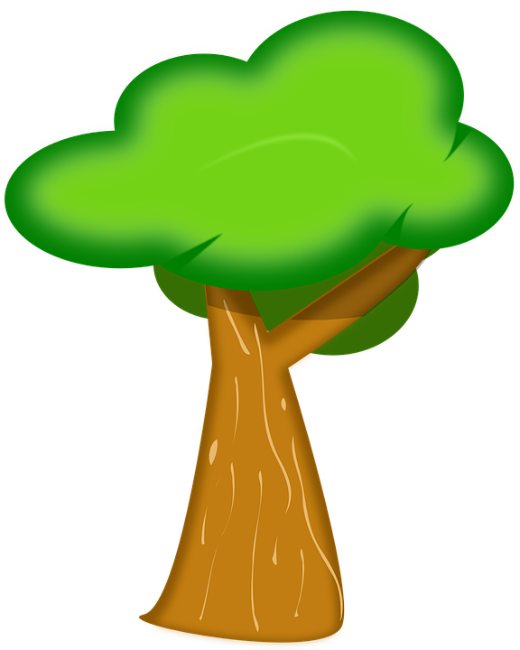 Tree Bark Coloring Pages - Trees Clip Art (576x720), Png Download