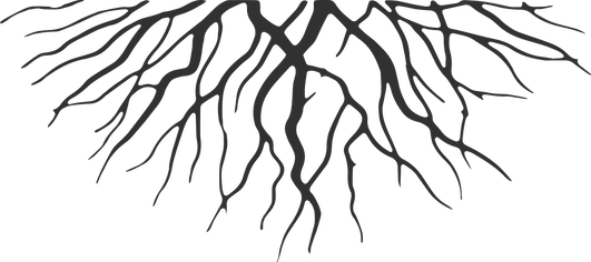 Taking Root - Roots Png (531x236), Png Download