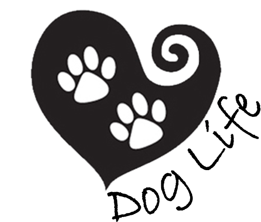 Love Dog Icon Transparent (580x535), Png Download
