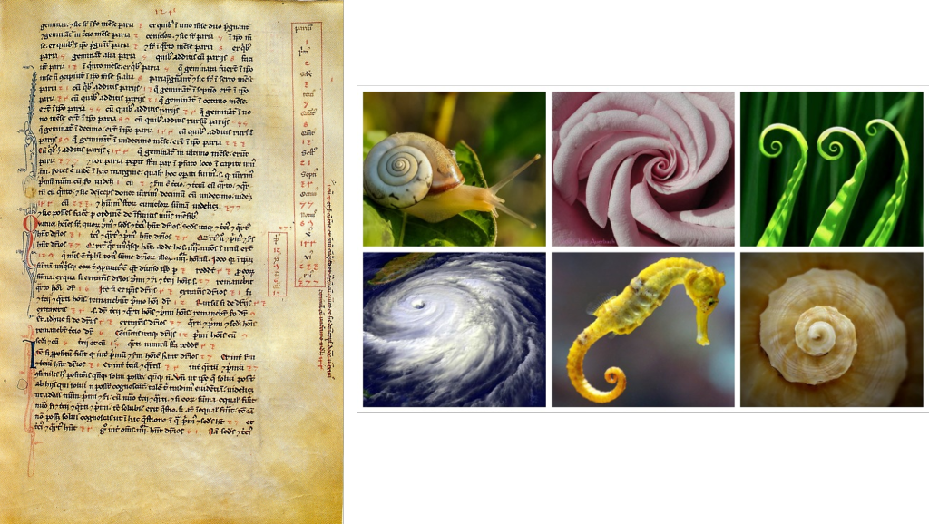 Download Fibonacci Sequence In Liber Abaci And Fibonacci Spiral - Earth ...