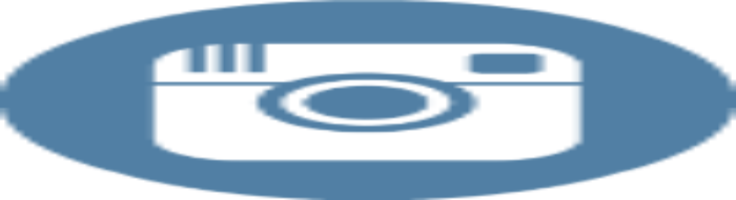 Instagram Round - Speed Test Logo Png (736x200), Png Download