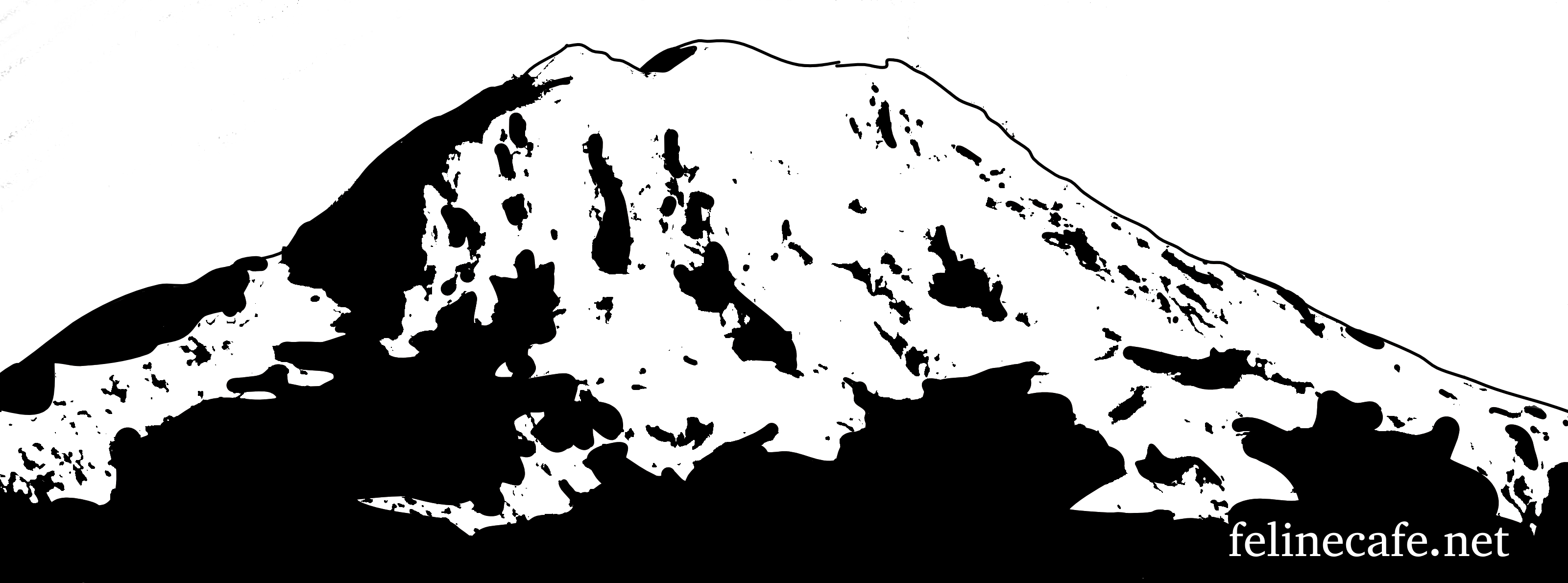 Mt Rainier Logo With Web Address - Mount Rainier (3201x1190), Png Download