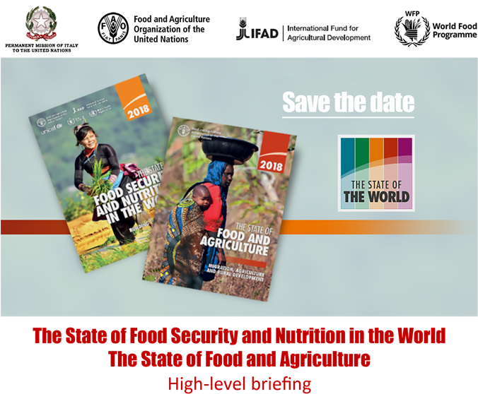 Fao - United Nations Redd Programme (675x565), Png Download