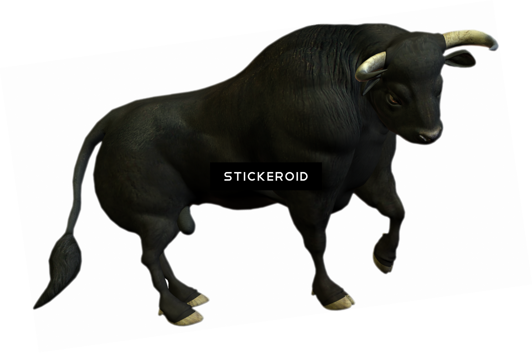 Download Bull - Bull Animal | Transparent PNG Download | SeekPNG
