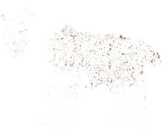 Download Freckles Png Image - Flock | Transparent PNG Download | SeekPNG