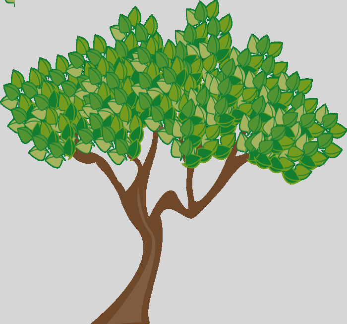 Download Summer Tree Clipart | Transparent PNG Download | SeekPNG