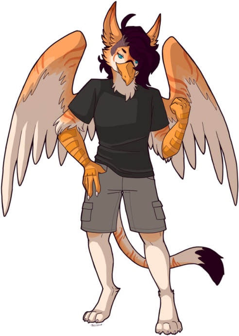 Download Drawn Griffon Furry - Griffon Furry | Transparent PNG Download ...