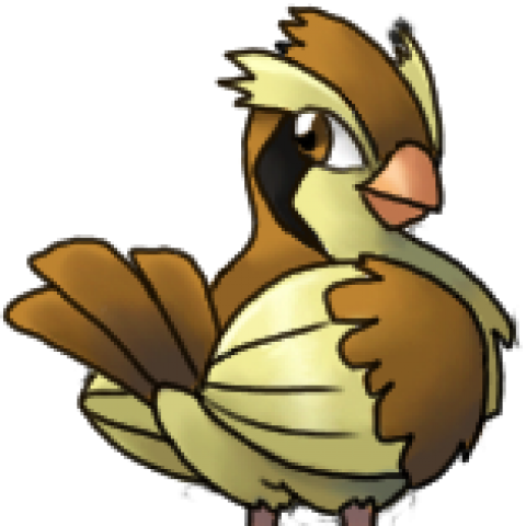 Pidgey (480x480), Png Download