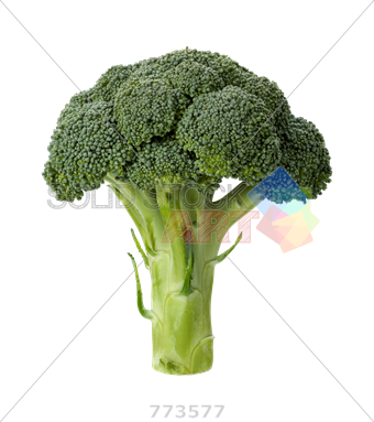 Brocoli (340x383), Png Download