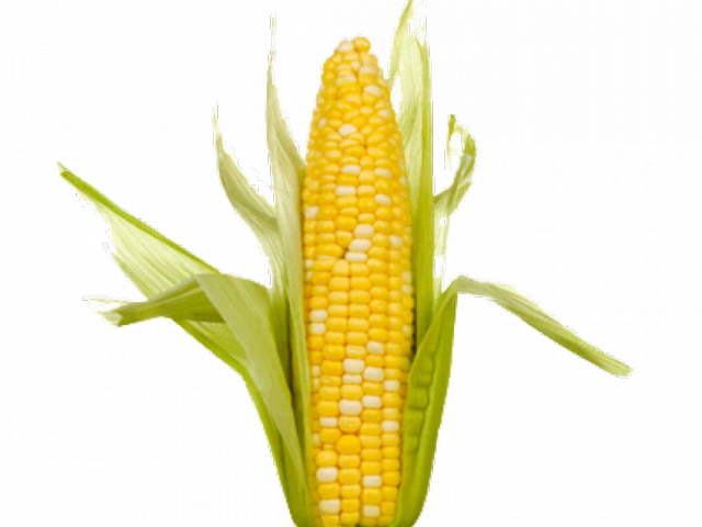 Corn Png Transparent Images - Single Corn On The Cob (640x480), Png ...