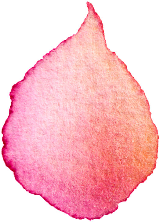 Download Delicate Flower Petals Transparent Decorative - Petal ...