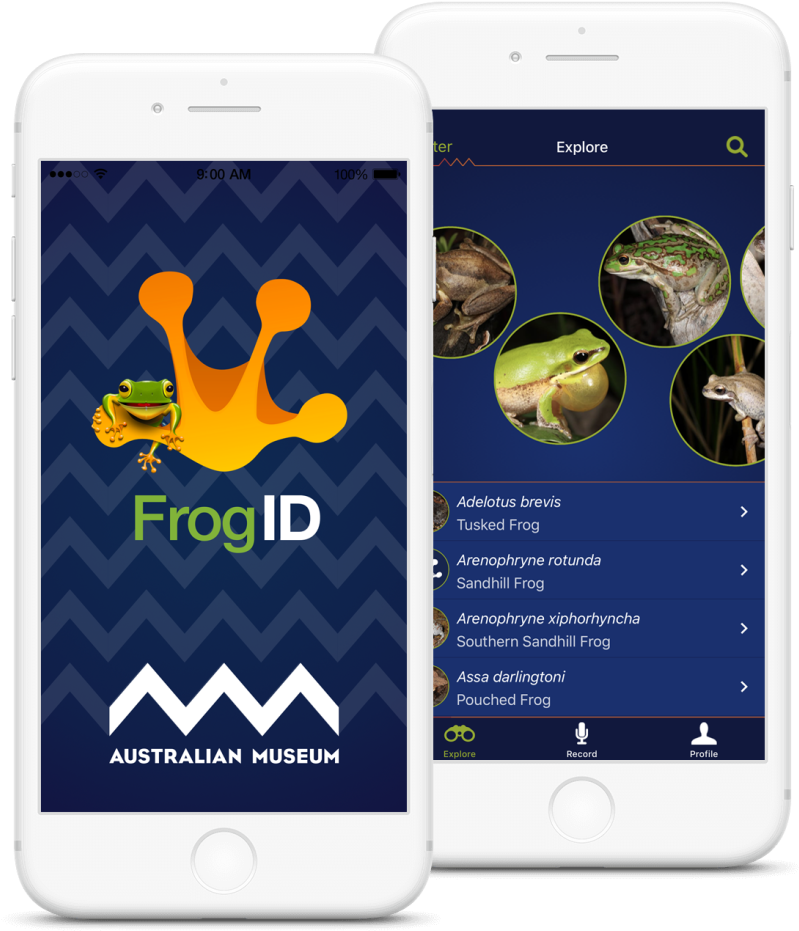 Frog Id Australian Museum (1100x1100), Png Download