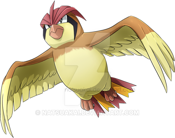 Pigiotto - Pidgeotto Png (600x473), Png Download