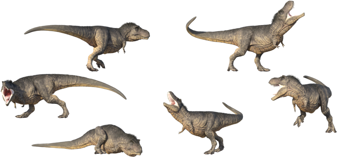 Download T Rex Png Transparent Image - Tyrannosaurus Rex Reference ...