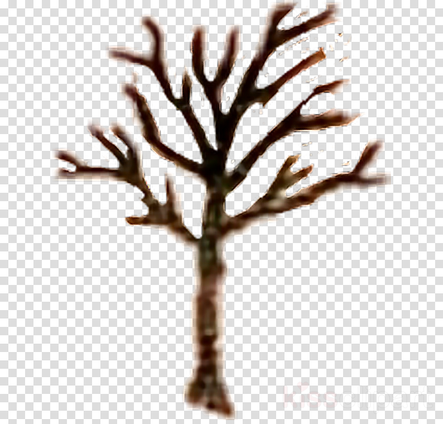 Download Leafless Tree Tattoo Xxxtentacion Clipart Tattoo Video ...