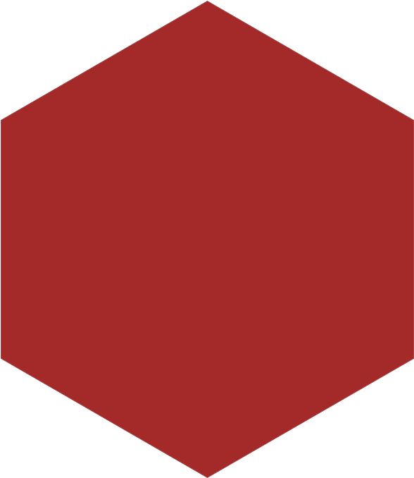 Red Hexagon Png - Térmica (720x720), Png Download