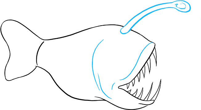 How To Draw Angler Fish - Drawing (680x678), Png Download