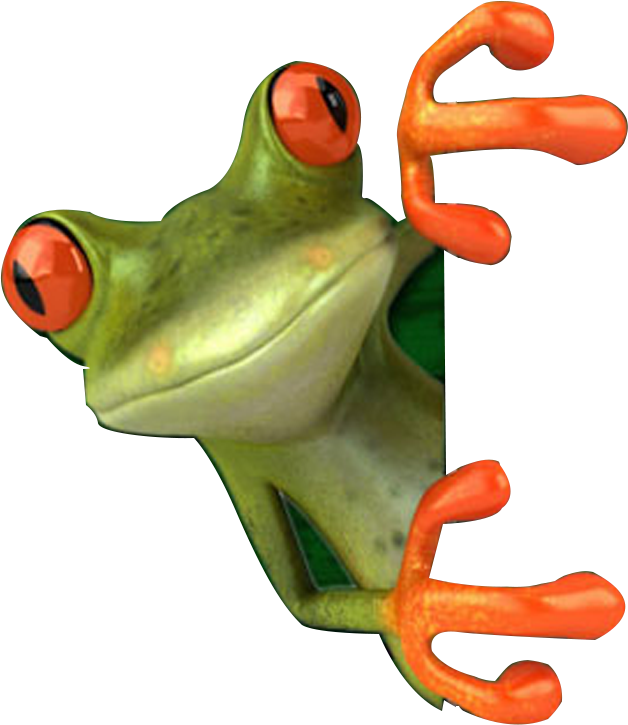 Frog - Red Eyed Tree Frogs Png (628x725), Png Download