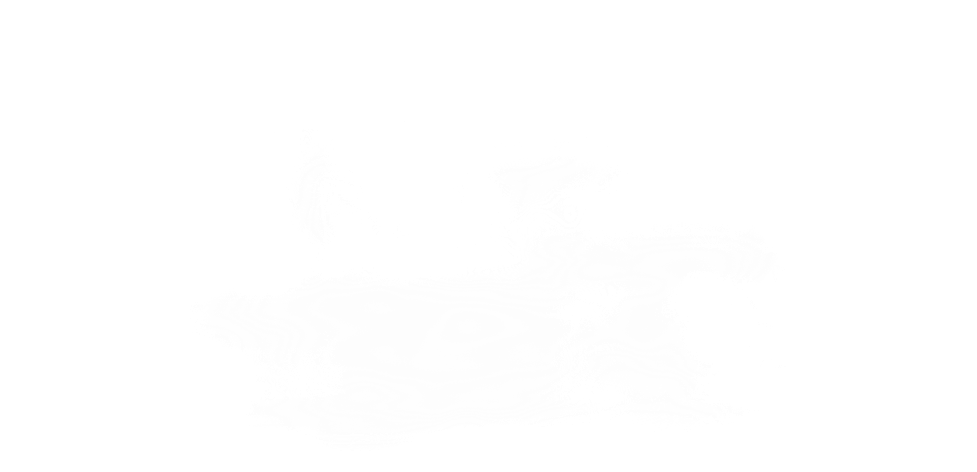 Fog Night - Foggy Gif Png (988x480), Png Download