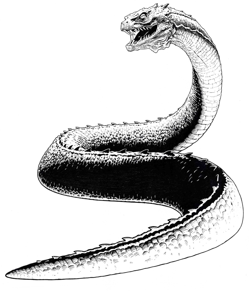 Basilisk Snake Png Pic - Harry Potter Basilisk Drawing (827x966), Png ...