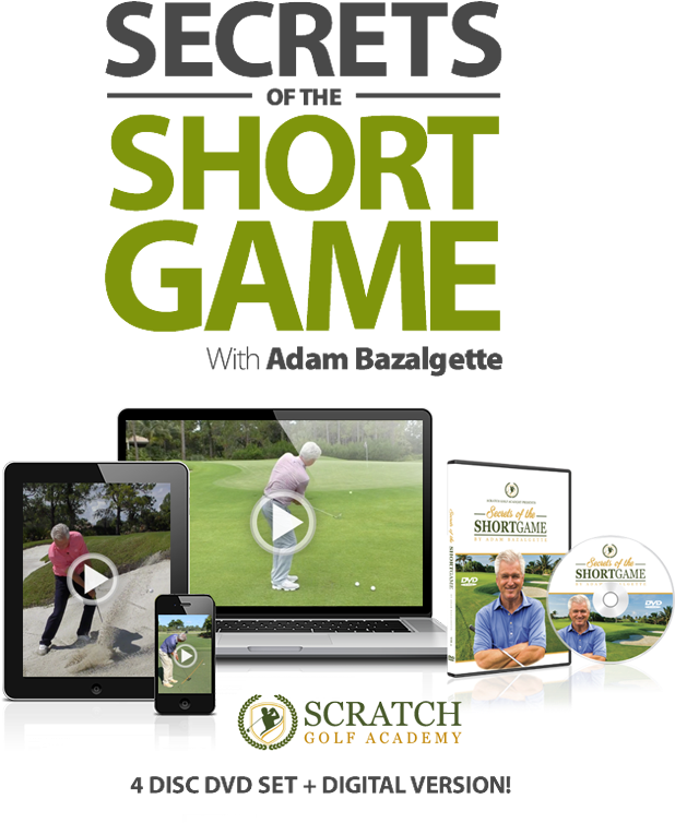 Collection With Logo - Revolt Tv (631x816), Png Download