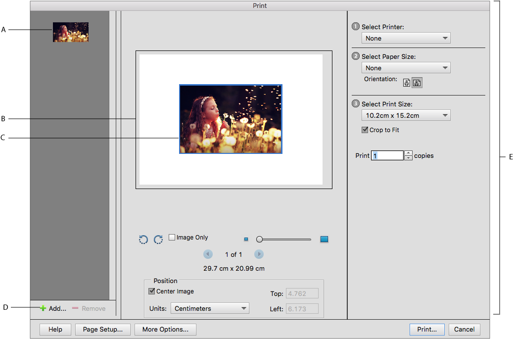 Print Dialog Box - Adobe Photoshop Elements (1056x685), Png Download