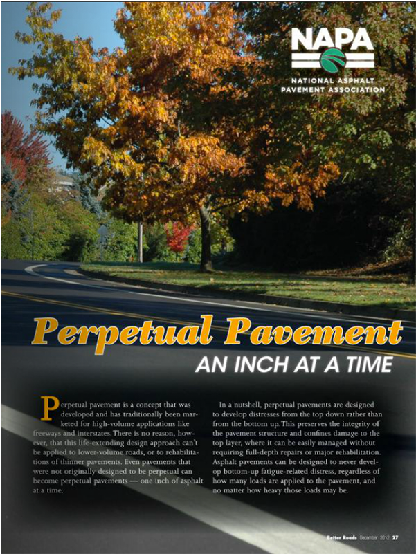 On The Blog - Tree (800x800), Png Download