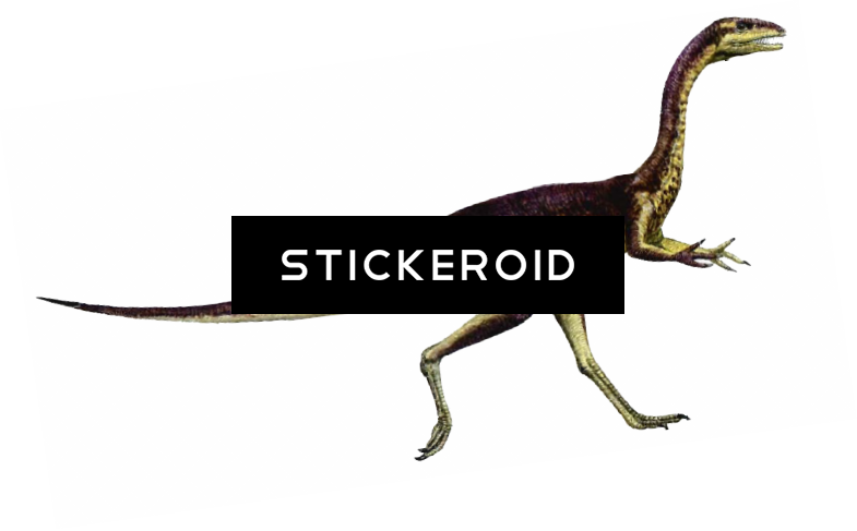 Dino Dinosaur - Elaphrosaurus (785x487), Png Download