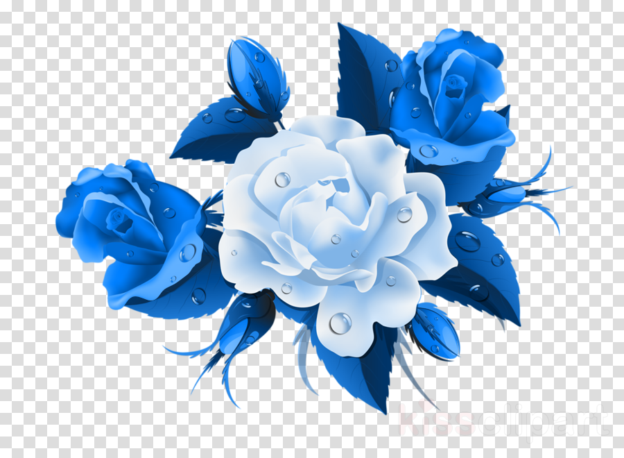 Download Blue Roses Png Clipart Rose Clip Art - Bouquet Of Roses Vector ...