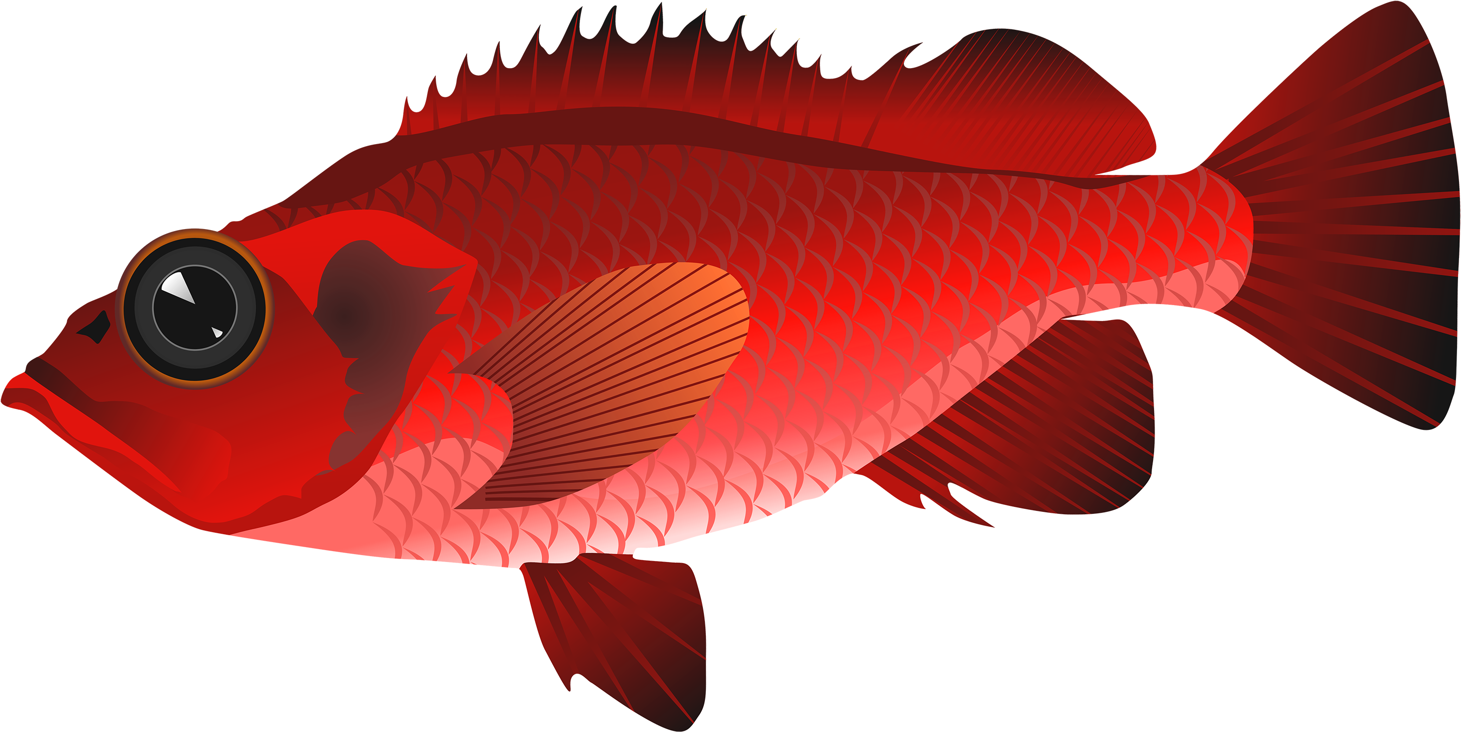 Png Best Web - Fish Clip Art Png (3000x1553), Png Download
