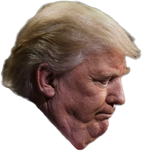 Saturday Night Live - Trump Head Cut Out (614x586), Png Download