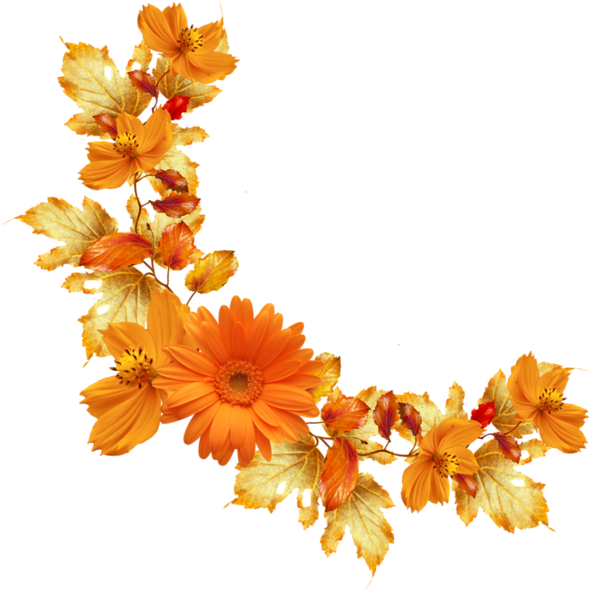 Orange Floral Border Png Image Background - Orange Flower Border Png ...