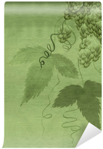 Hops Plant Watercolor Painting On Paper Wall Mural - Light Switch ...