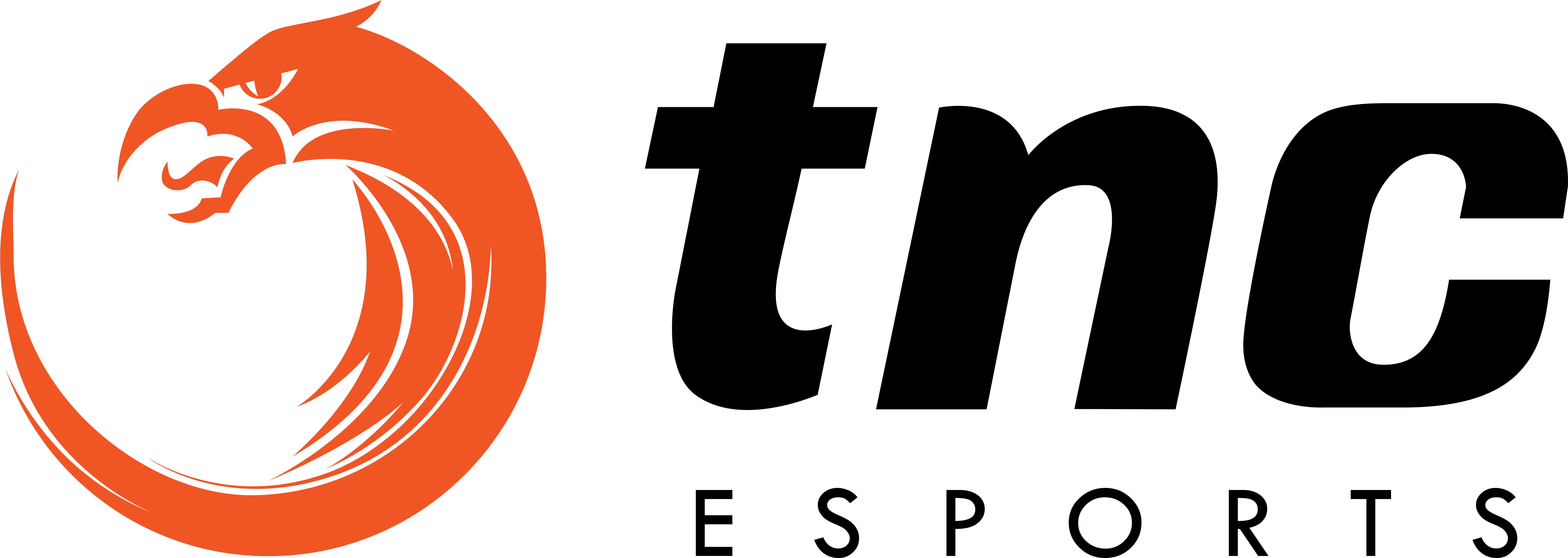 Download News - Dota 2 Tnc Logo | Transparent PNG Download | SeekPNG