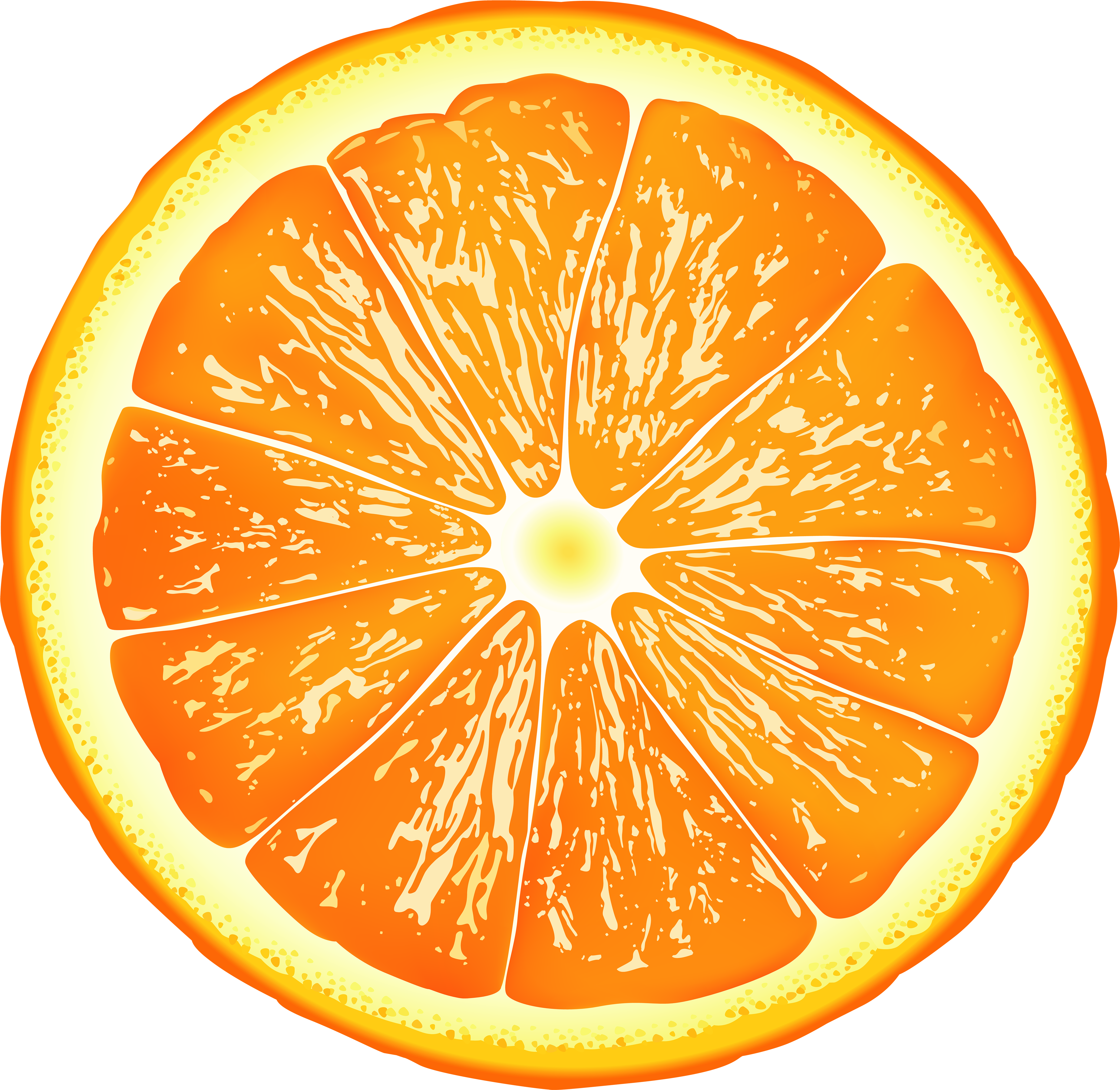 Download Orange Slice Png | Transparent PNG Download | SeekPNG