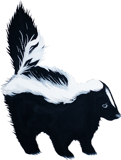 Download Striped Skunk | Transparent PNG Download | SeekPNG