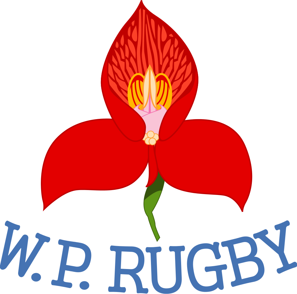 Dhl Western Province Logo - Western Province Rugby Logo (1033x1024 ...