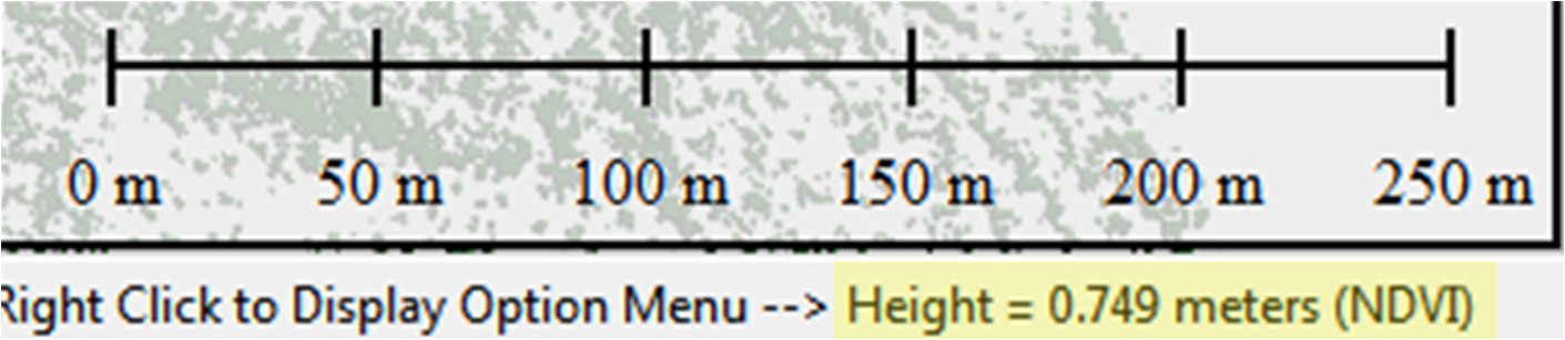Height - Calligraphy (1411x307), Png Download