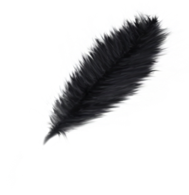 Png Plumas - Pluma Negra (894x894), Png Download