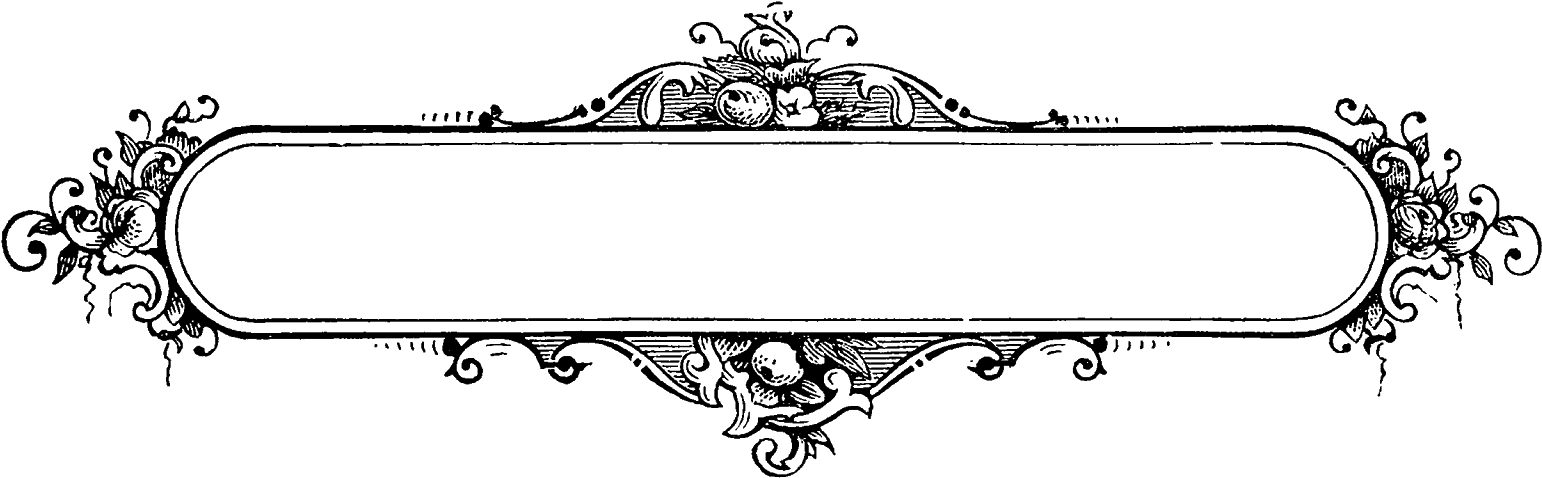 Digital Stamp Design Decorative - Decorative Line Line Png (1600x517 ...