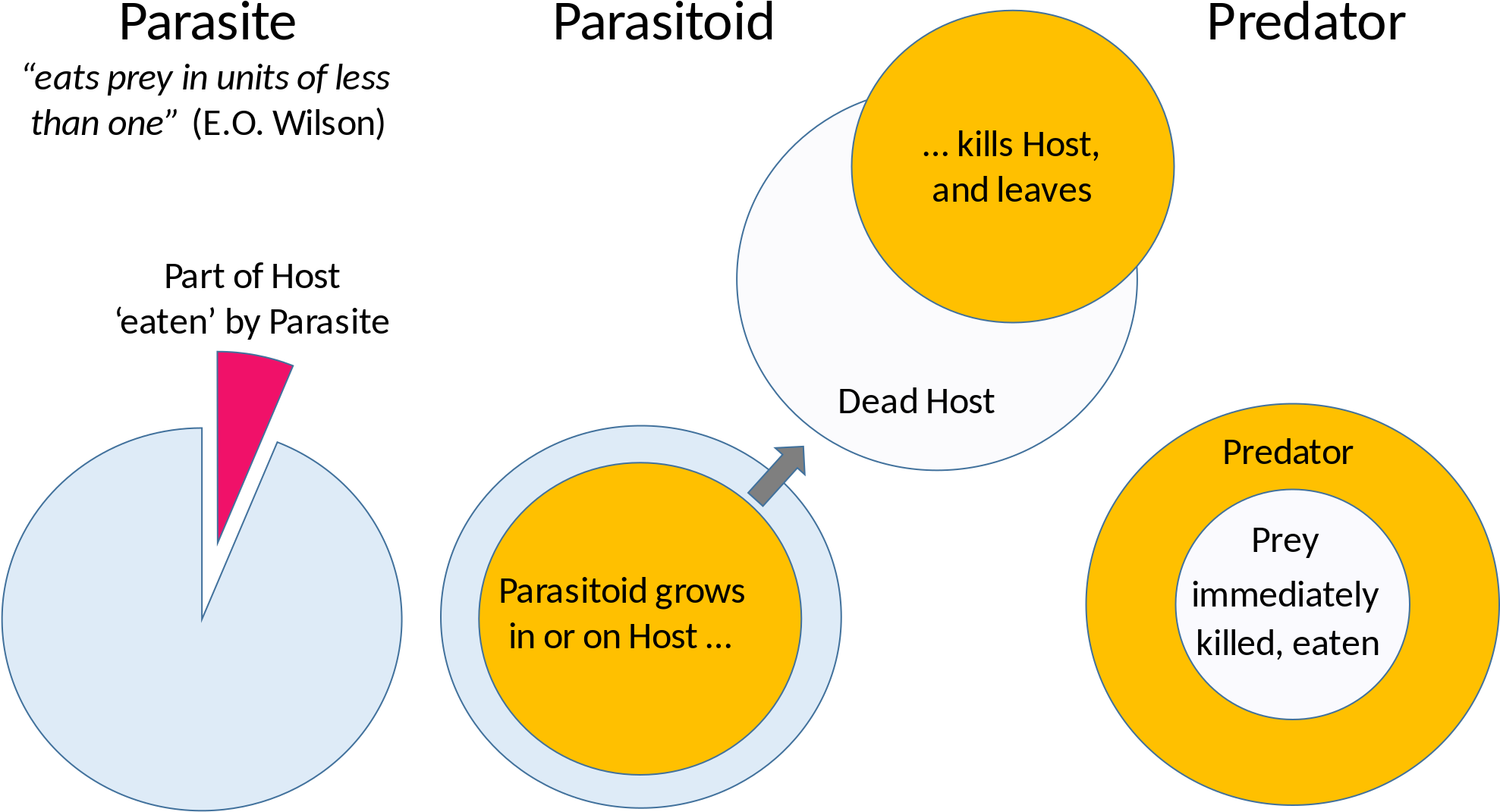 Open - Predators Parasites And Parasitoids (2000x1125), Png Download