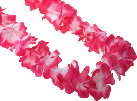 Download Hawaiian Lei Garland Pink - Hawaii | Transparent PNG Download ...