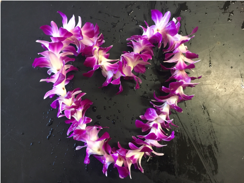 Single Purple Dendrob Orchid Lei - Dendrobium (480x480), Png Download