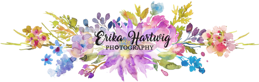 Logo - Crocus (900x331), Png Download